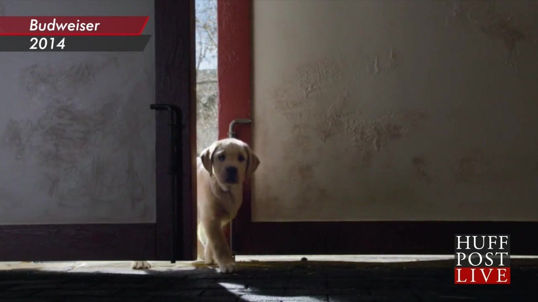 Budweiser's 'Puppy Love' Super Bowl Commercial 2014 Wins Our Hearts ...