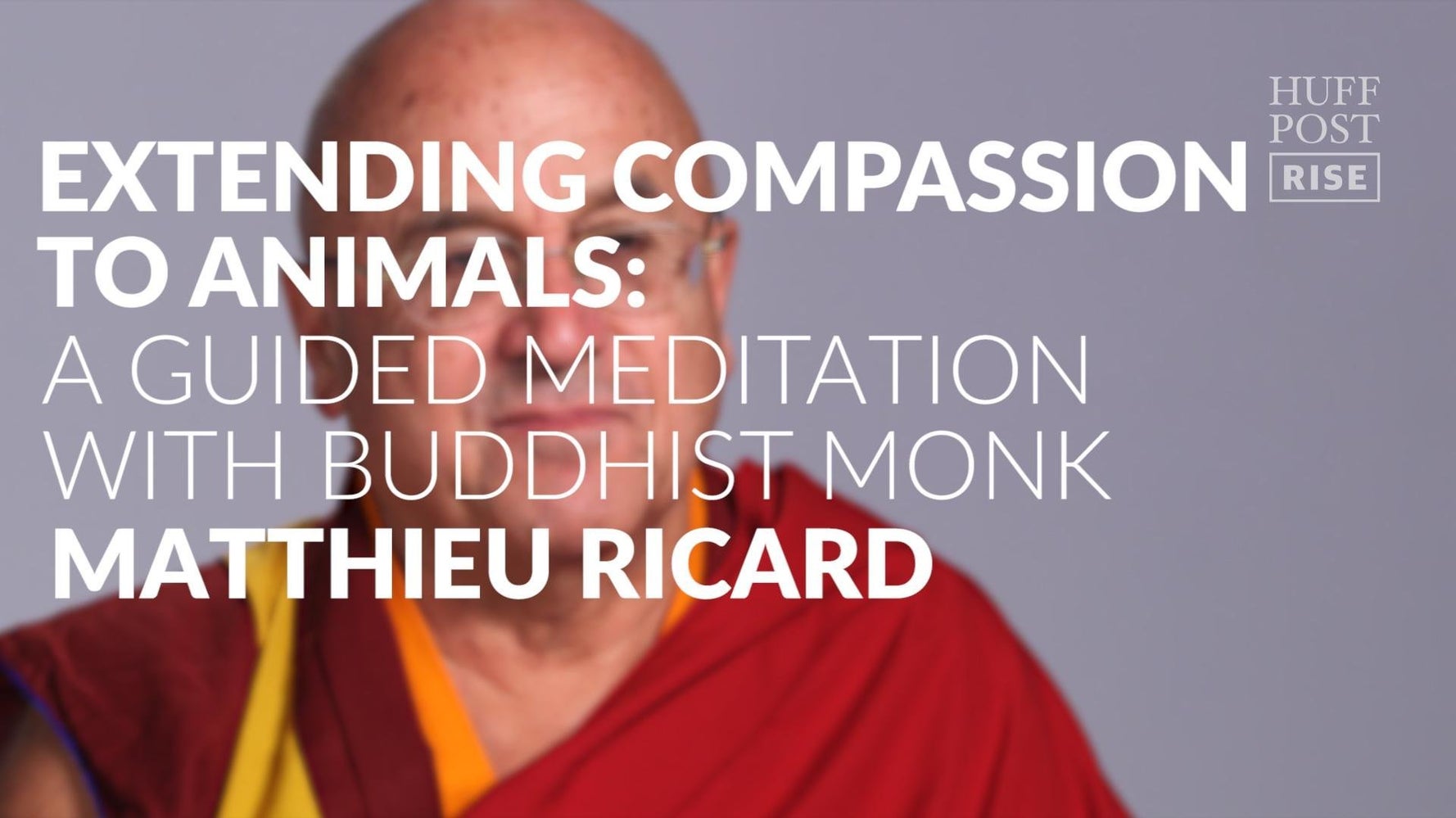 Compassion For Animals: A Guided Meditation | HuffPost Videos