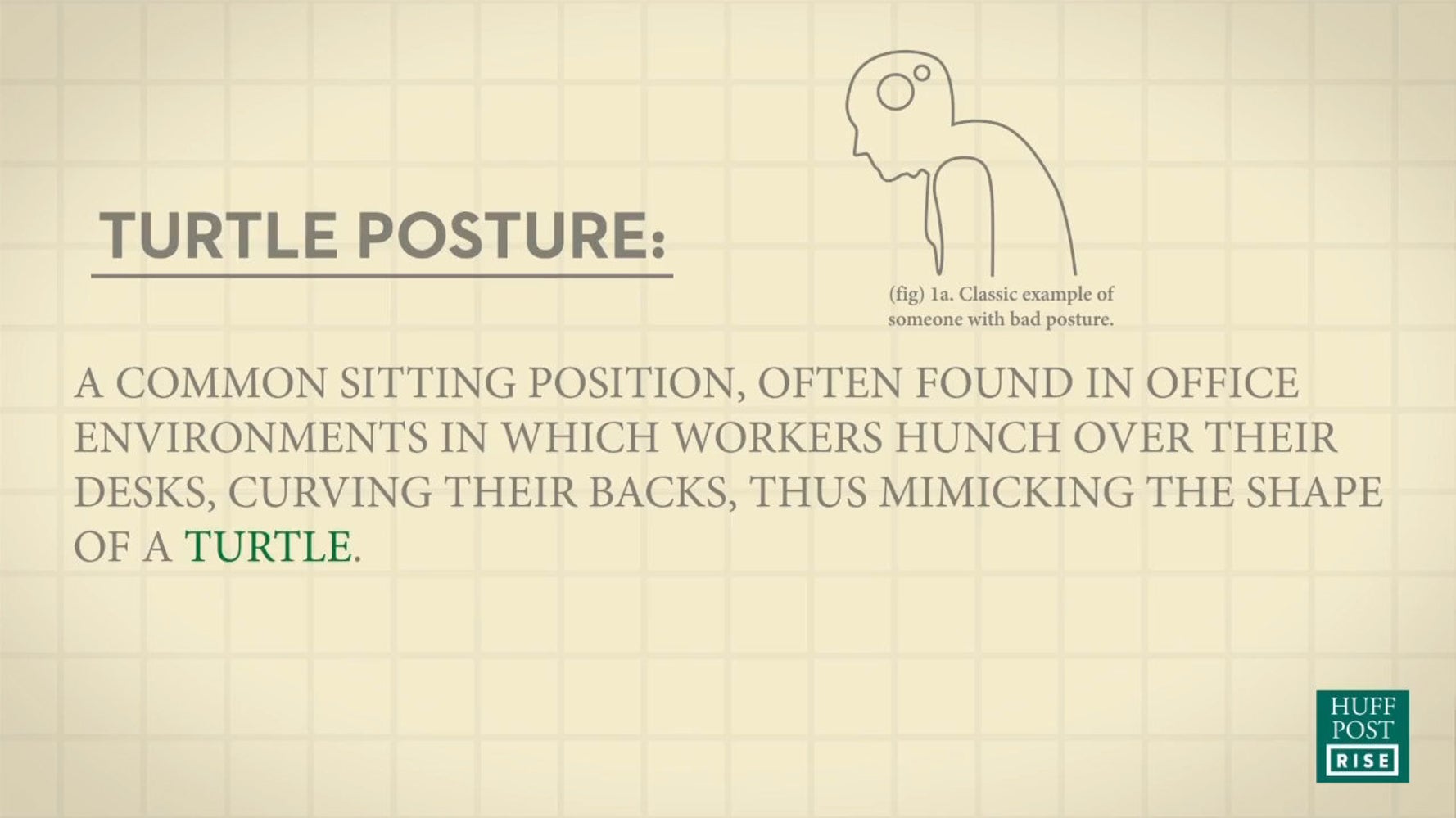 Turtle Posture | HuffPost Videos