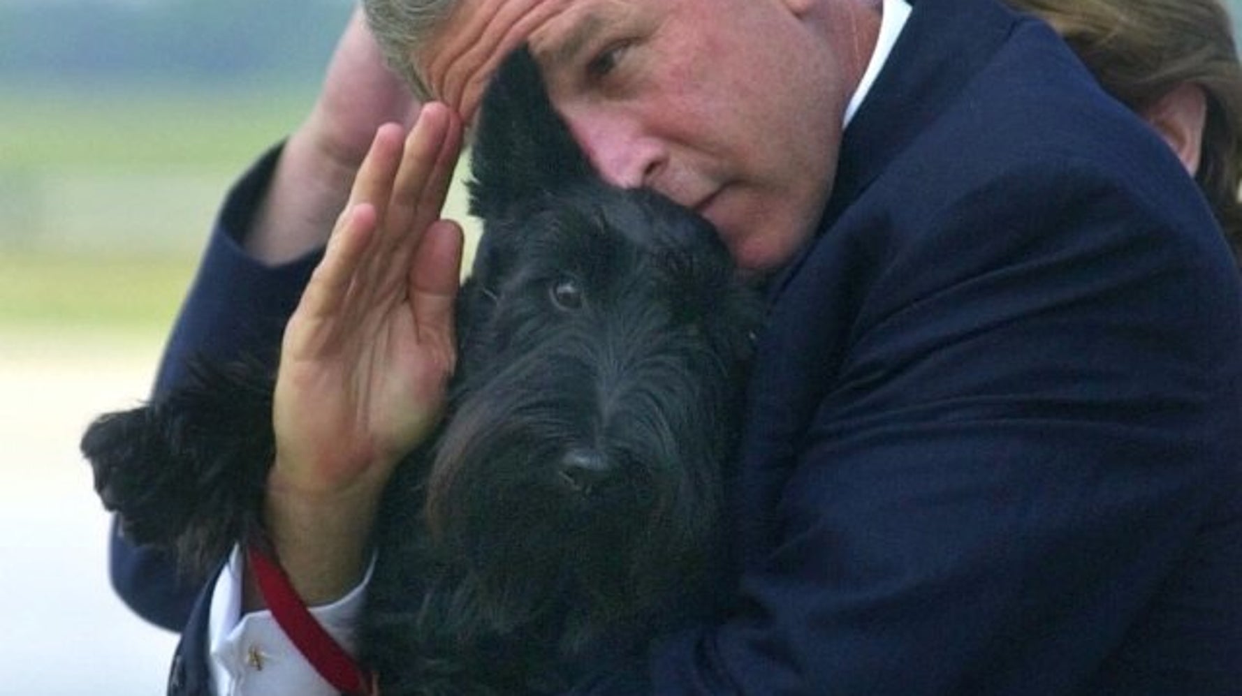 Barney, George W. Bush's Dog, Dies After Lymphoma | HuffPost Videos