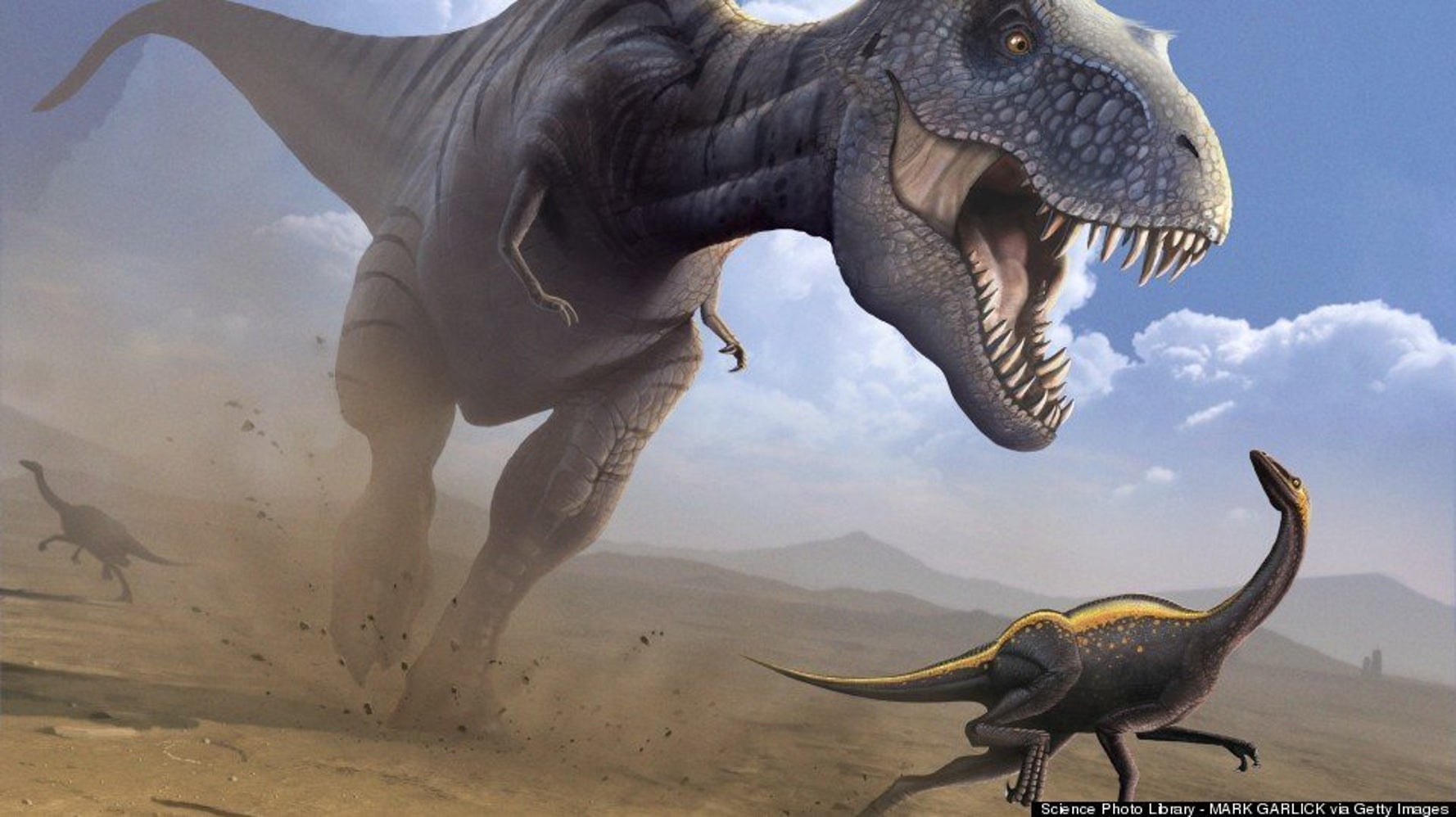Controversial T. Rex Soft Tissue Discovery | HuffPost