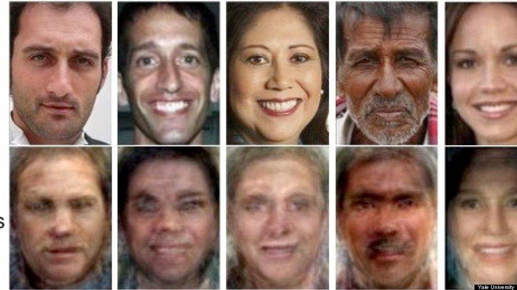 'Mind-Reading' Scientists Reconstruct Human Faces From Brain Scans ... 'Mind-Reading' Scientists Reconstruct Human Faces From Brain Scans ...