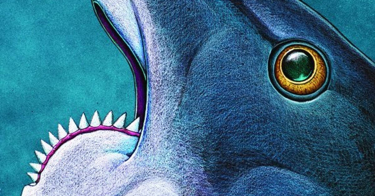Prehistoric 'Shark' Helicoprion Had Saw-Like Spiral Teeth | HuffPost Videos