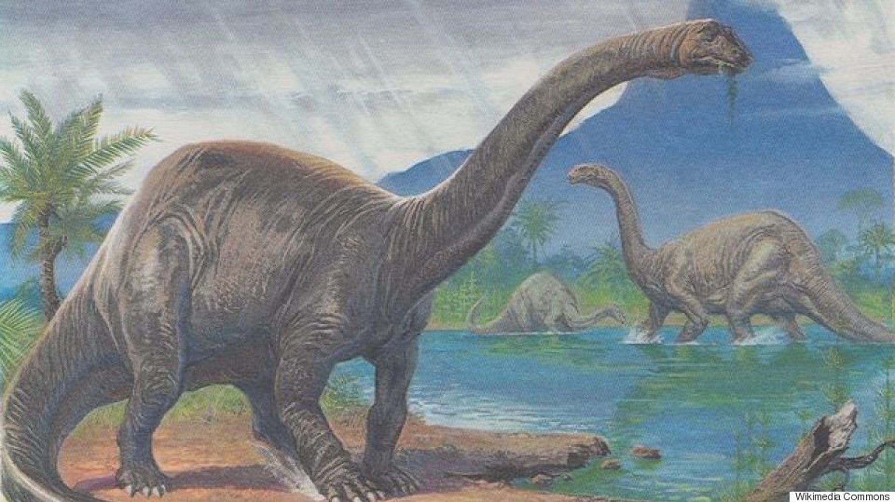 The Brontosaurus Is Back | HuffPost Videos