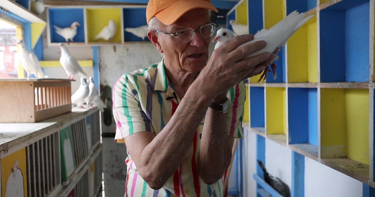 The Last Pigeon Keeper in the East Village | HuffPost Videos