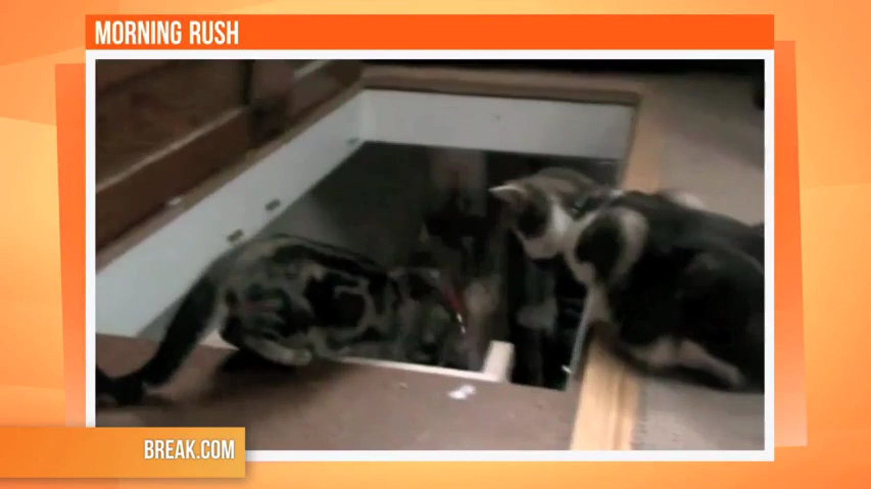 Morning Rush Viral 8/28/12 | HuffPost Videos
