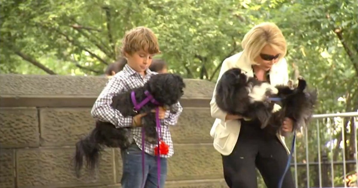 Joan Rivers Leaves $150M Fortune To Family… And Dogs | HuffPost Videos