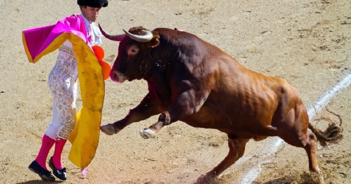 Spain Okays Bullfighting During Kids TV Time | HuffPost Videos