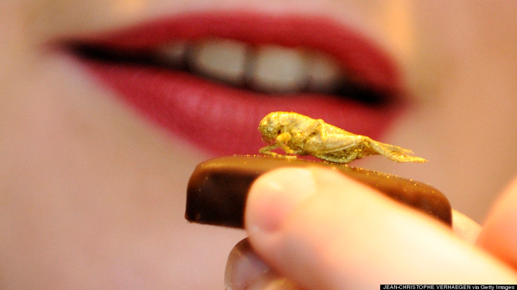 Week In Weird: Eating Bugs! | HuffPost Videos