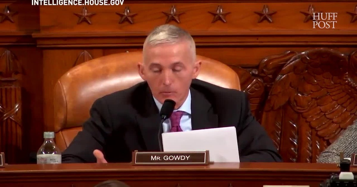 Rep. Trey Gowdy Says Russia Influence Leaks Are 'Definitely' Crimes ...