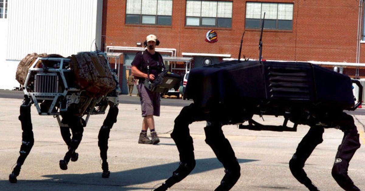Doberman Drones: Military Tests New Robot Dogs | HuffPost Videos