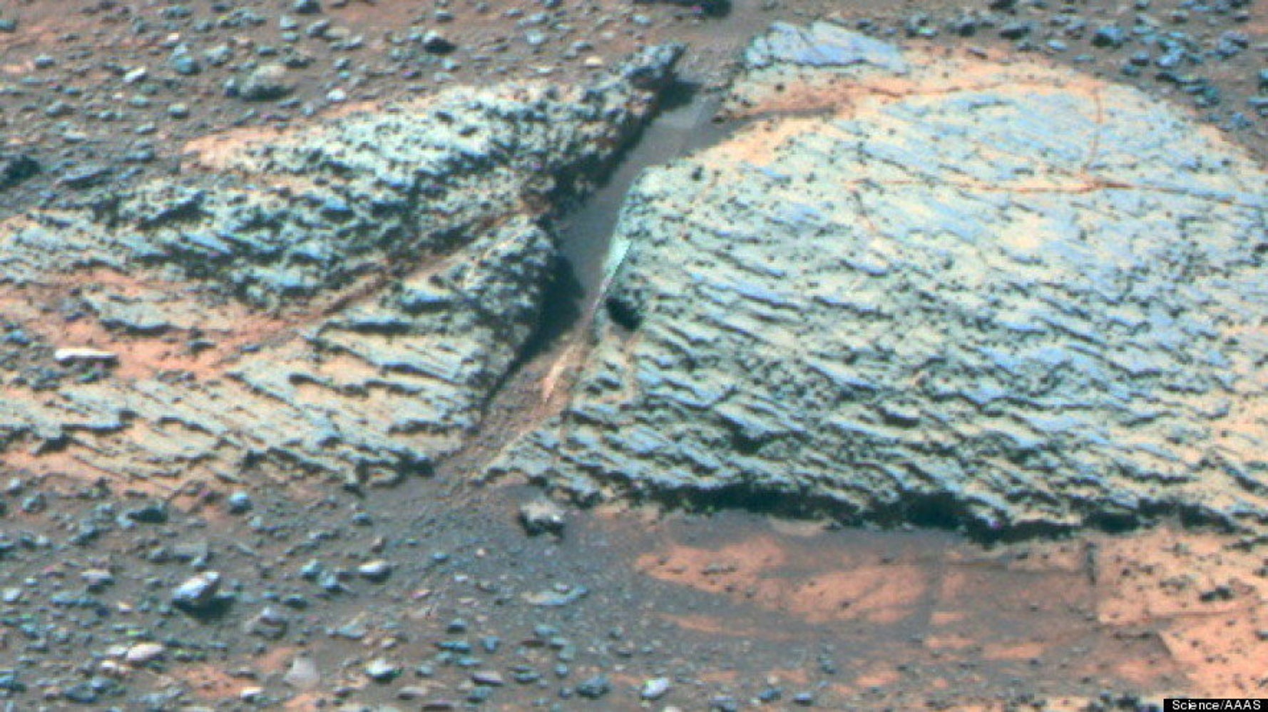 Transgender Mars One Candidate Using Mission as 'Platform for Diversity ...