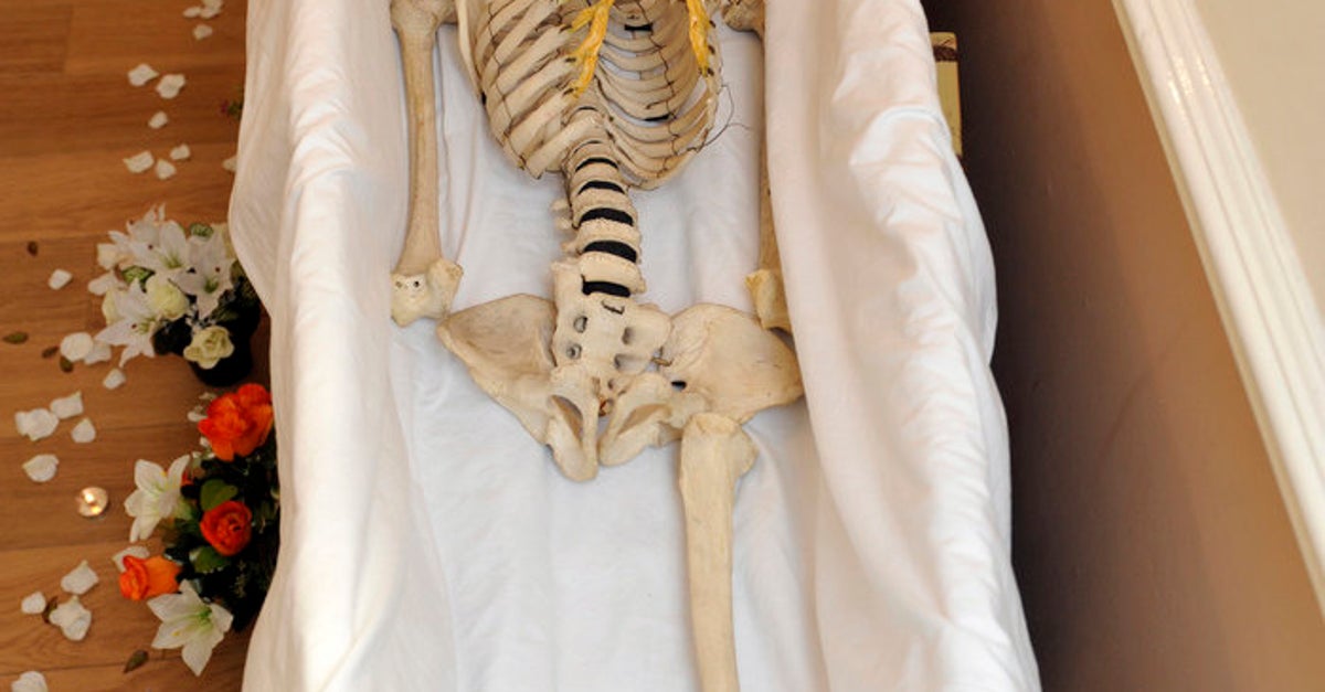 School's Prosthetic Skeleton Actually Is Human | HuffPost Videos