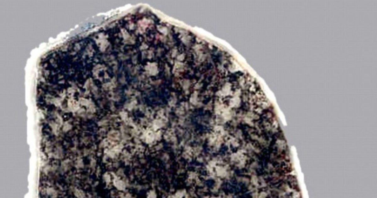 The Oldest Living Organism Is Over 2 Billion Years Old | HuffPost Videos