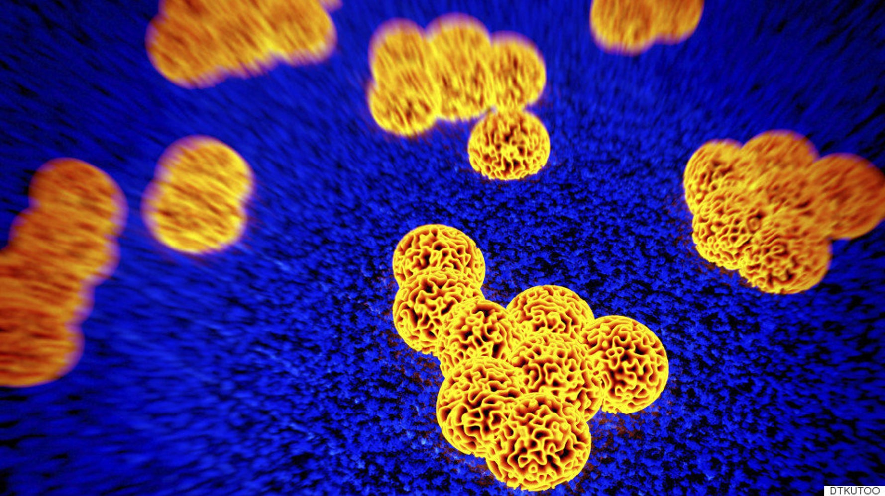 Bacterial Mutation Found To Be Resistant To Strongest Antibiotics ...