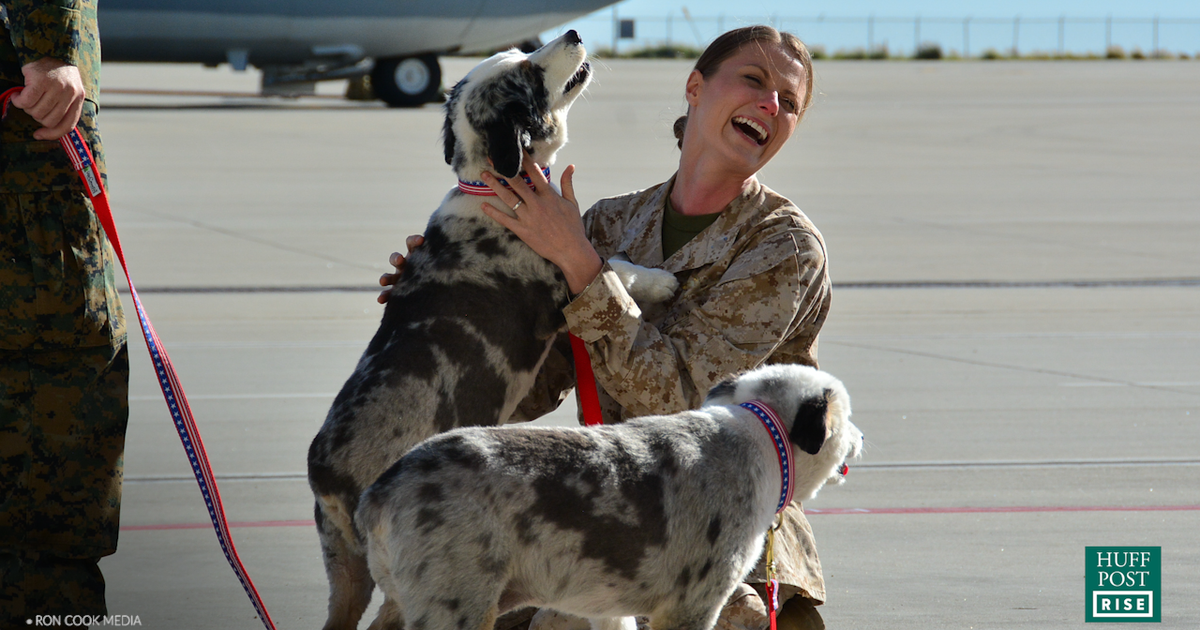 Dogs on Deployment Is Making Sure No Pet Is Ever Left Behind | HuffPost ...