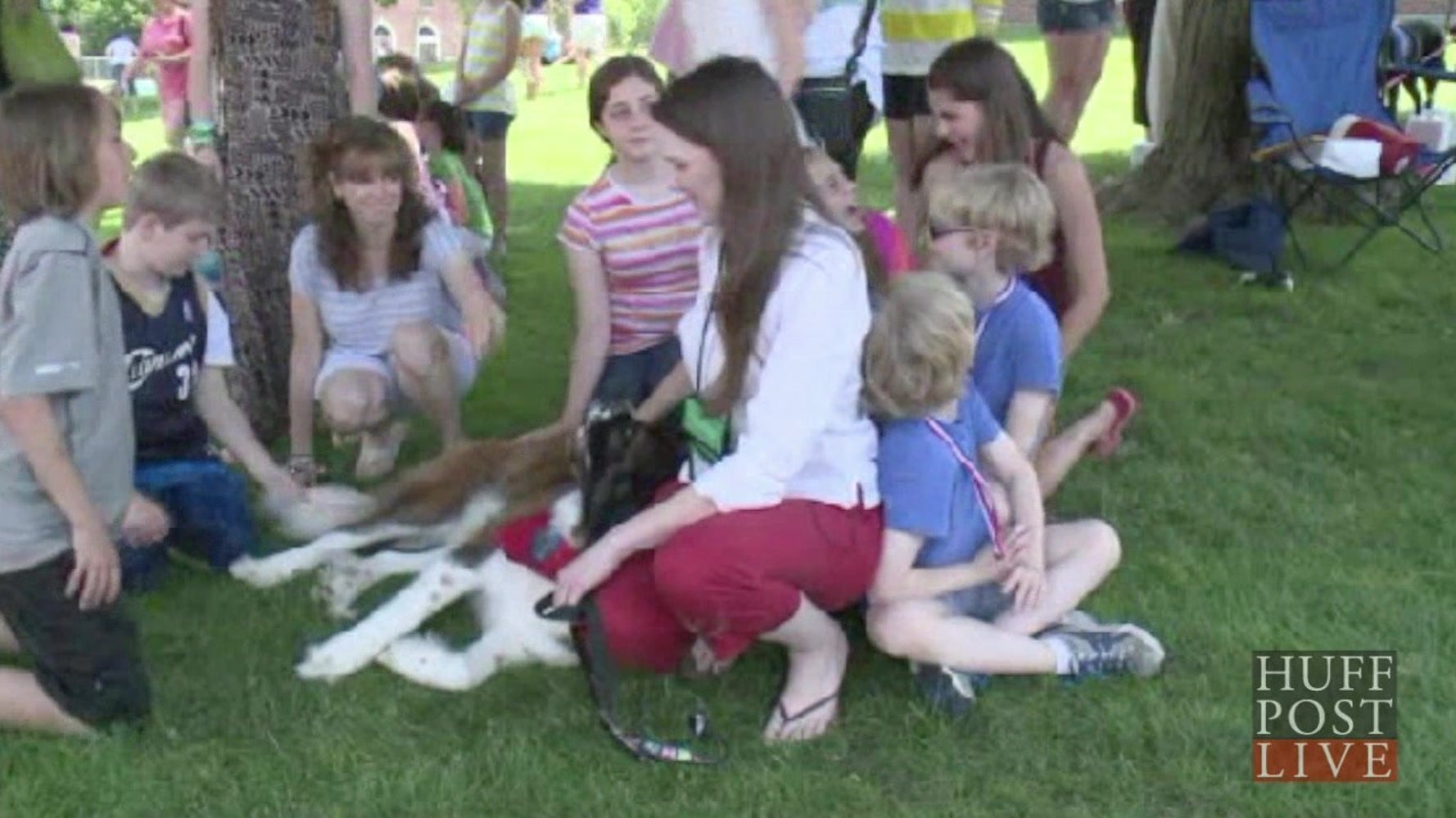 Newtown Says Thank You to Therapy Dogs | HuffPost Videos