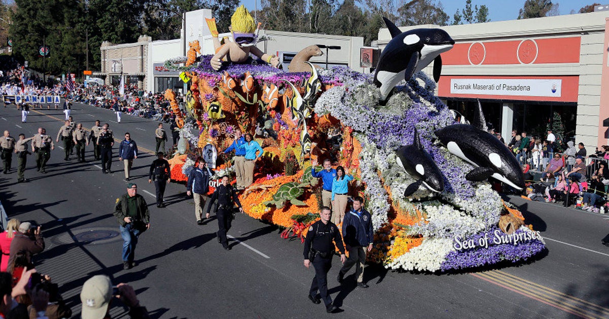 PETA Protests SeaWorld's 'Mockery' Of Orcas On Parade Float | HuffPost ...