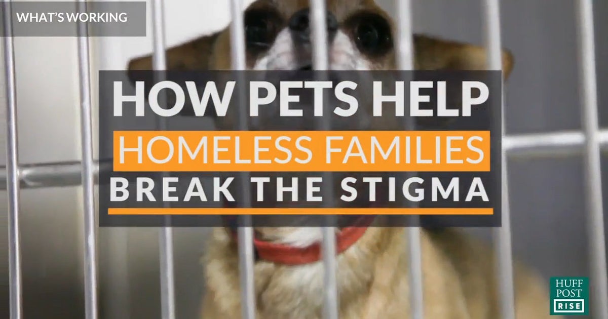This Homeless Shelter Is Keeping Pets in the Picture | HuffPost Videos