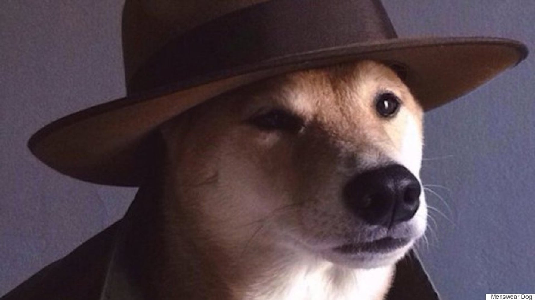 What Humans Can Learn About Style From Bodhi The Menswear Dog ...