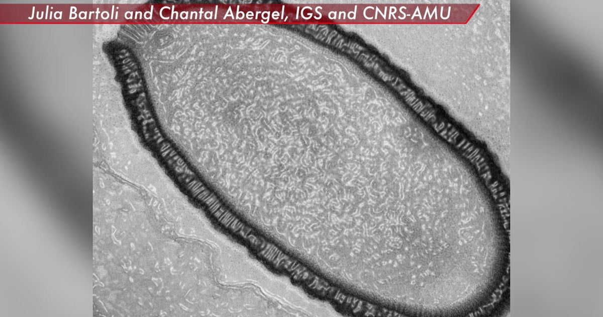 30,000-Year-Old Virus Comes Back To Life | HuffPost Videos