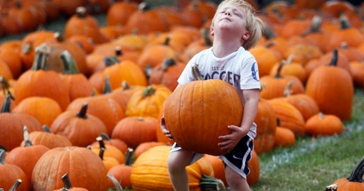 Spooky Storm: How Does Sandy Affect Halloween? | HuffPost Videos