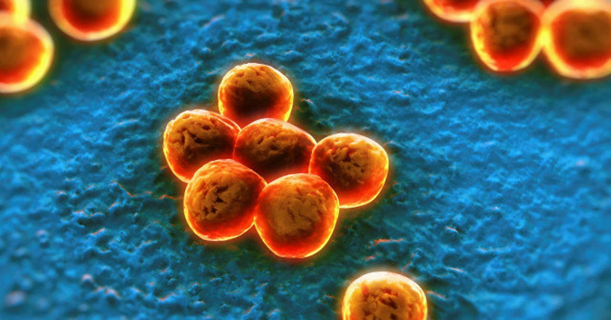 Gonorrhea May Be Back, Stronger Than Ever | HuffPost Videos