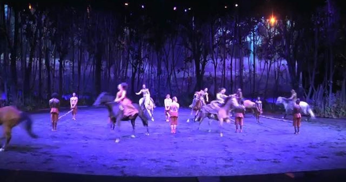 Cavalia Show Se Presenta En Miami..Mov | HuffPost Videos