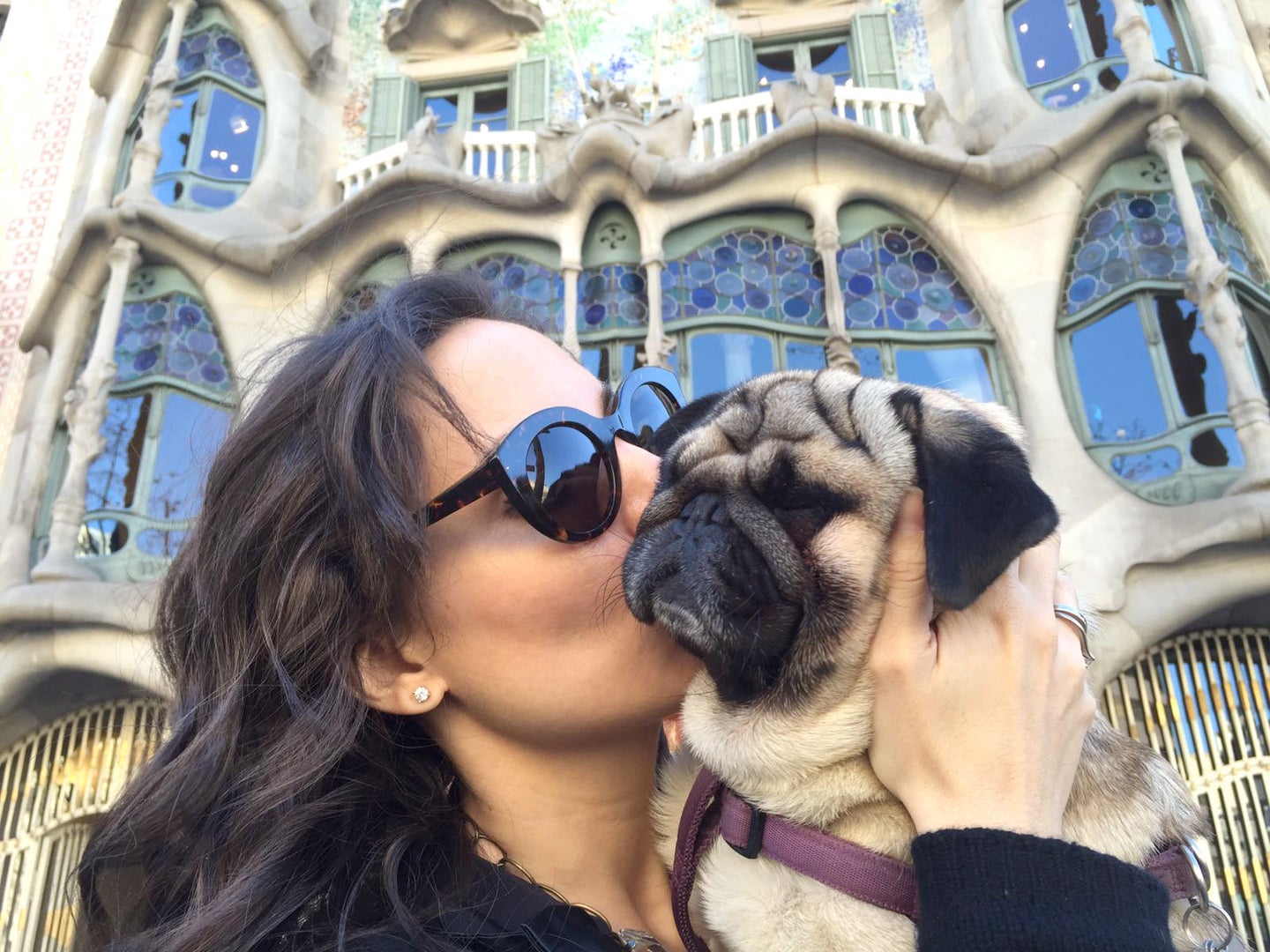 This Artist Illustrates Life With Her Pampered Pug Mochi | HuffPost Life