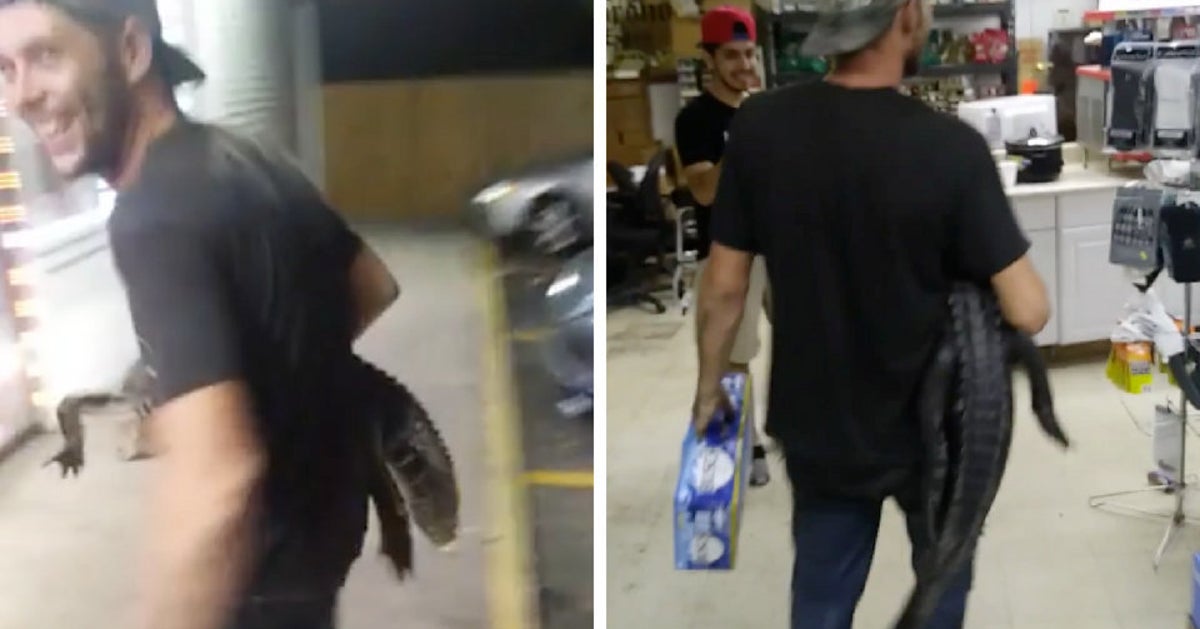 Drunk Florida Man Who Brought Live Alligator On Beer Run Says He Doesn