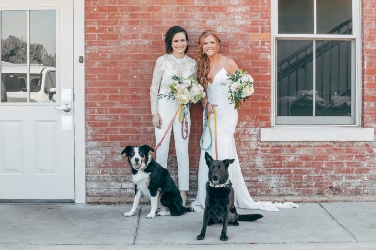 32 Times Dogs Dutifully Helped Their Owners Tie The Knot | HuffPost Life