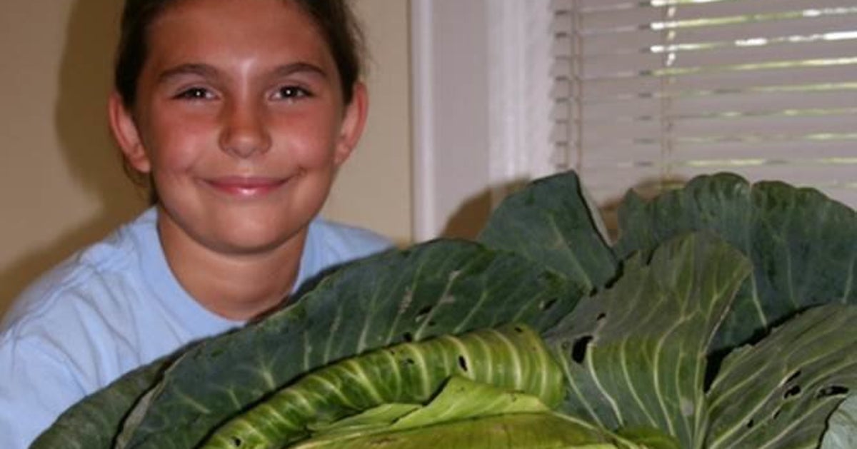 This Giant Cabbage Inspired A Nine-Year-Old To Feed Thousands Of People ...