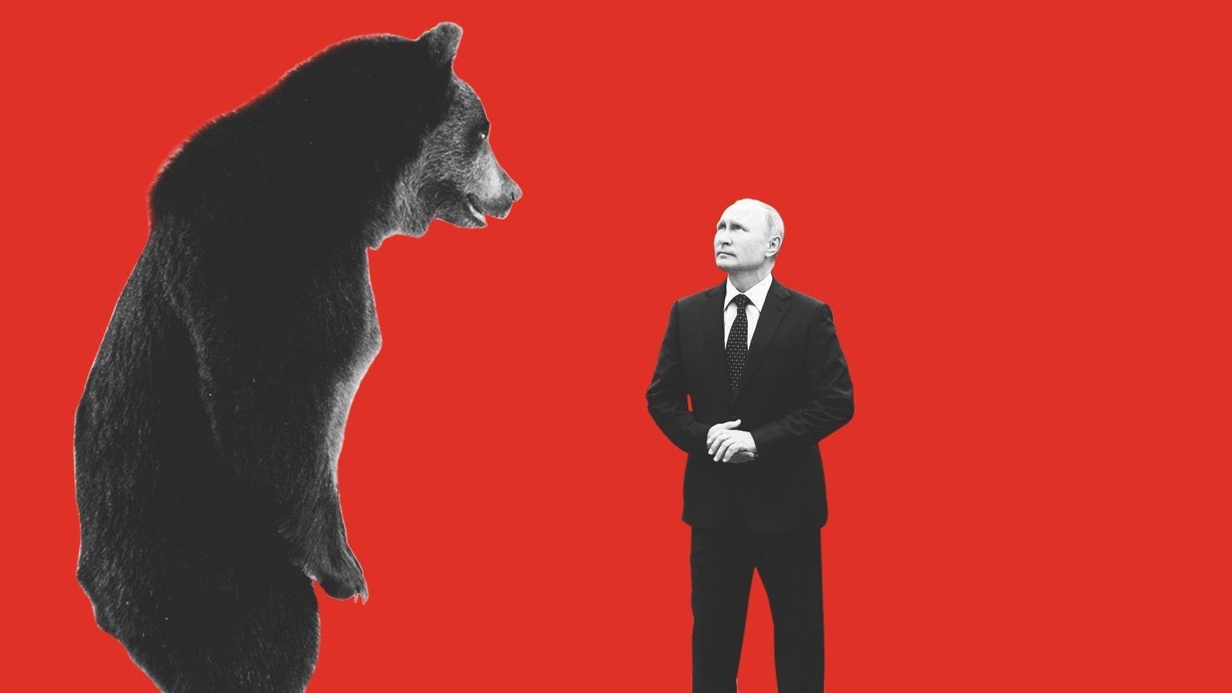 Russian State TV Claims Bears Aren't Afraid Of Putin In Bizarre PR ...
