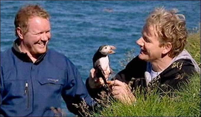 Gordon Ramsay Draws Audience Wrath For Killing Puffin | HuffPost Life
