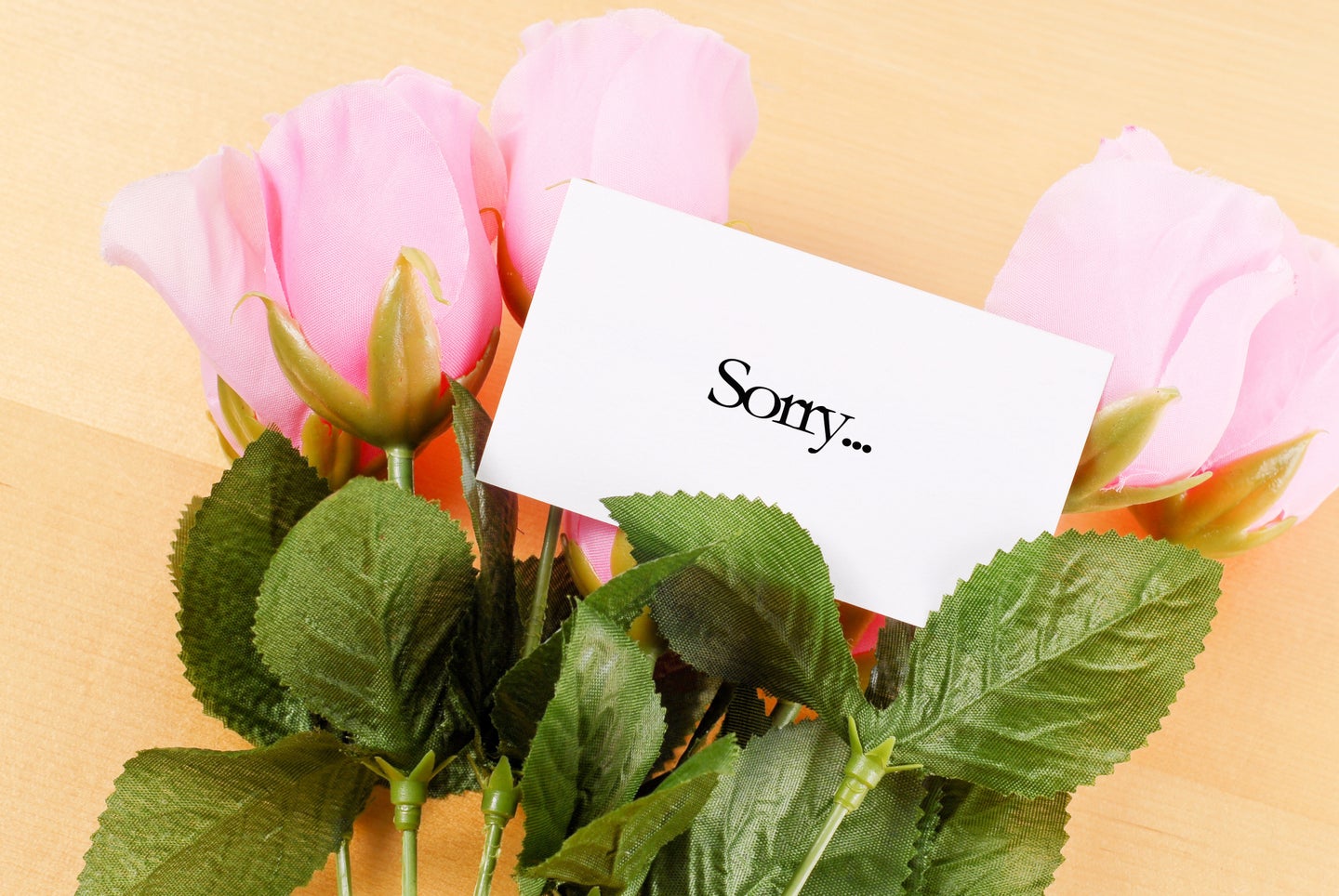 How to Overcome Apology-Phobia: Or Why Love Means Never Waiting for ...