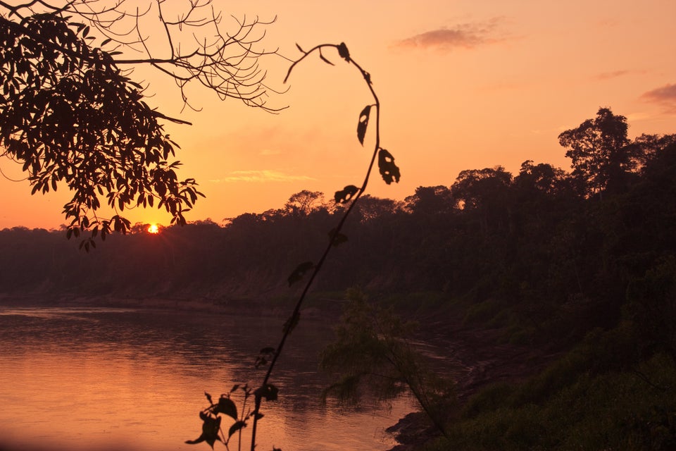 A Hungry Walk Up The Amazon (PHOTOS) | HuffPost Life