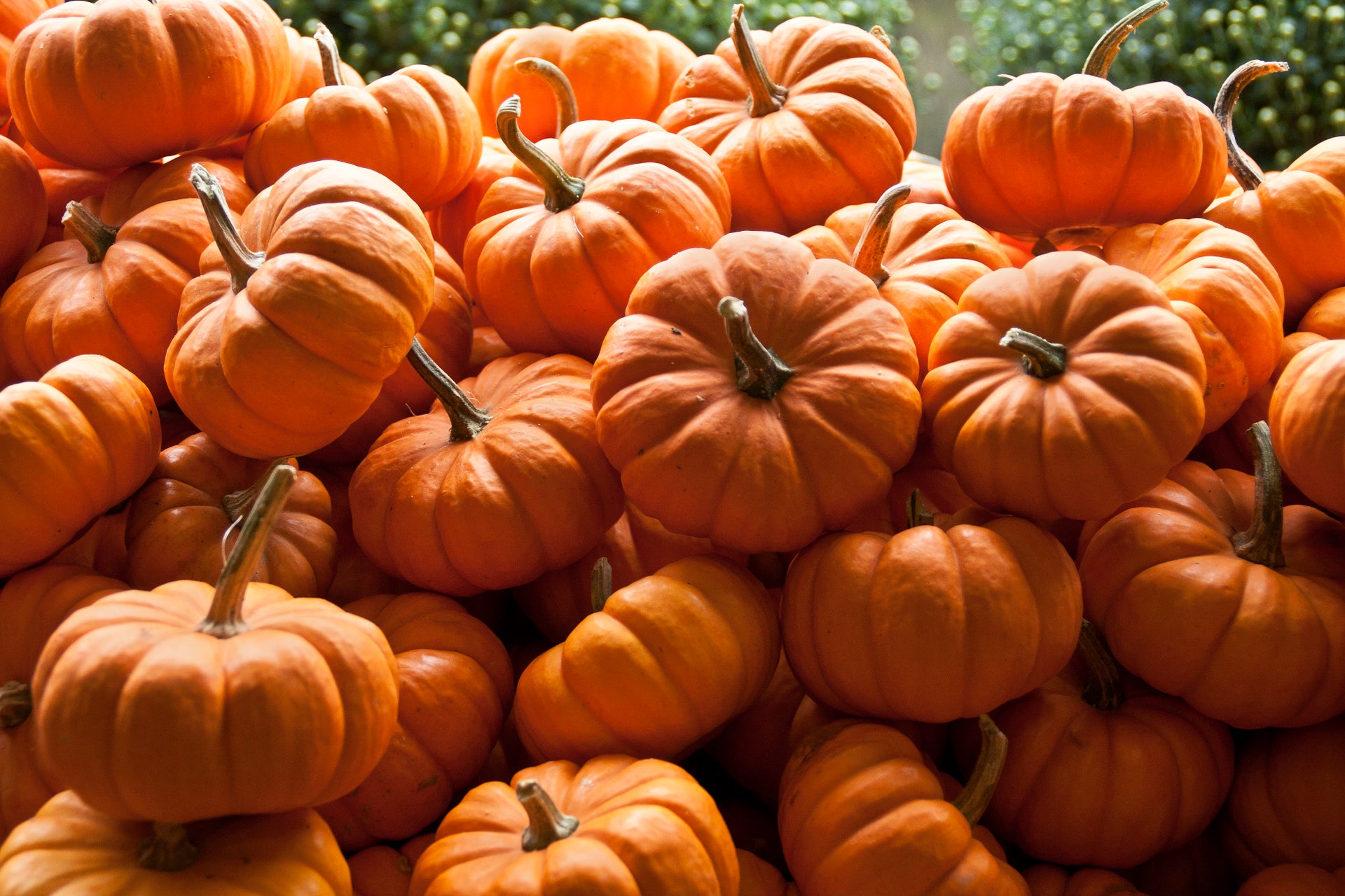 8 Impressive Health Benefits Of Pumpkin | HuffPost Life