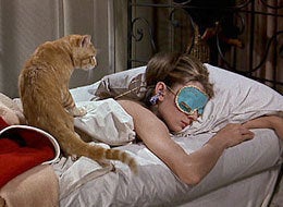 Not Fit to Fly | HuffPost Life