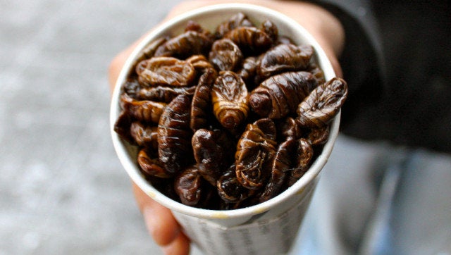 Bugs Are A Sustainable Meat Source | HuffPost Life