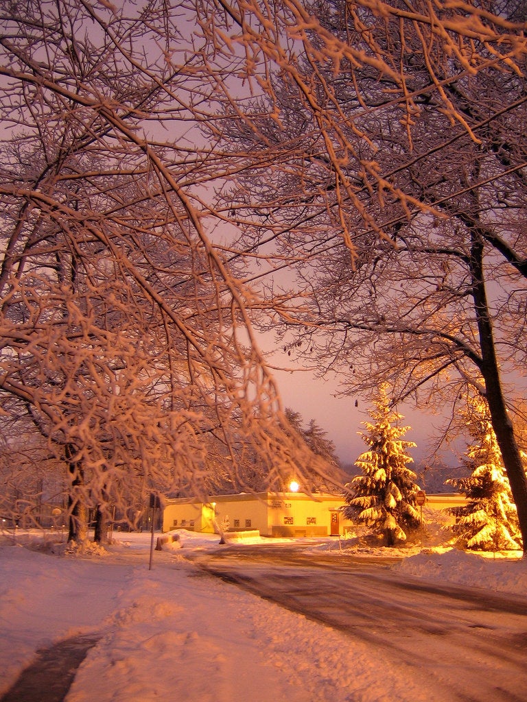 Winter Scenes That Make The Cold Weather Seem Not So Bad (PHOTOS ...