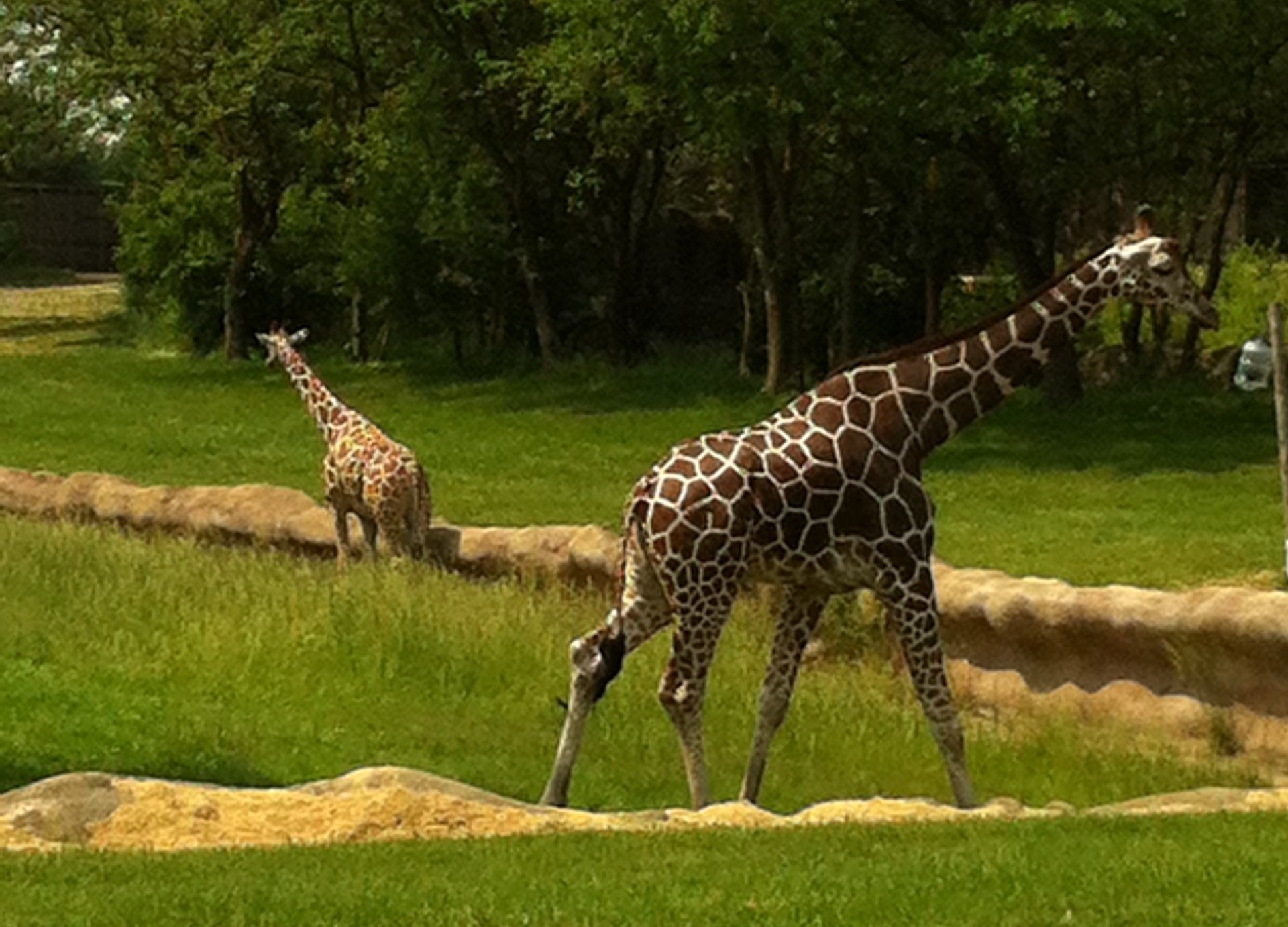 Awesome America: 51 Facts And Attractions You Need To Check Out ...