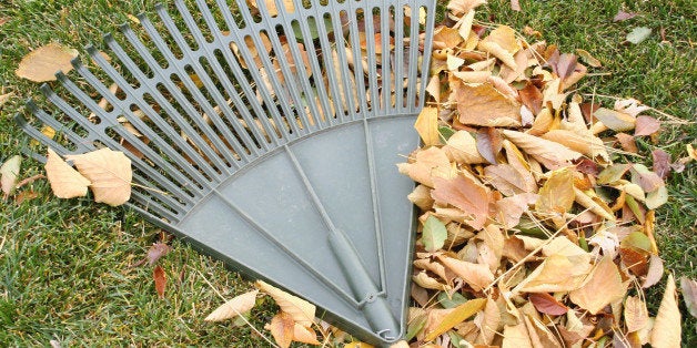 8 Must-Have Tools For Fall Backyard Prep | HuffPost Life