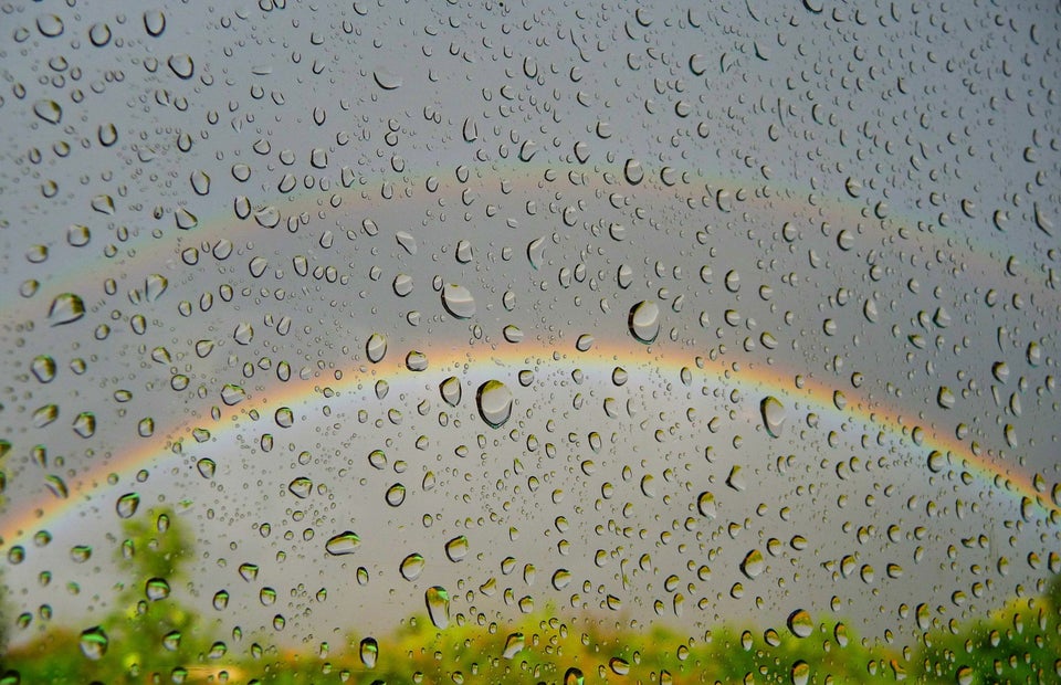 These Relaxing Raindrop Scenes Will Soothe Your Soul (PHOTOS ...