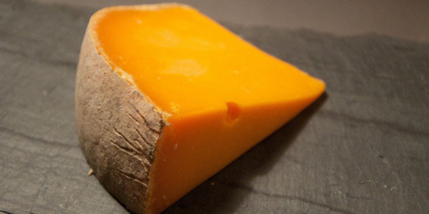 Your Cheese Might Be Covered In Mites, And That's A Good Thing ...