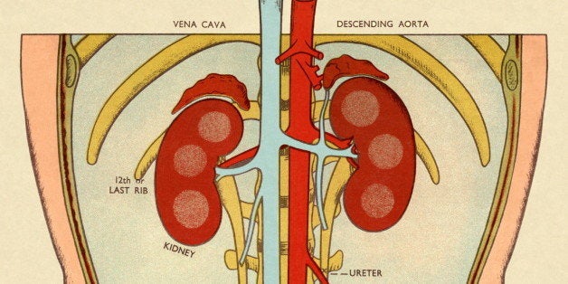 Obesity Linked With Signs Of Kidney Problems In Teens | HuffPost Life
