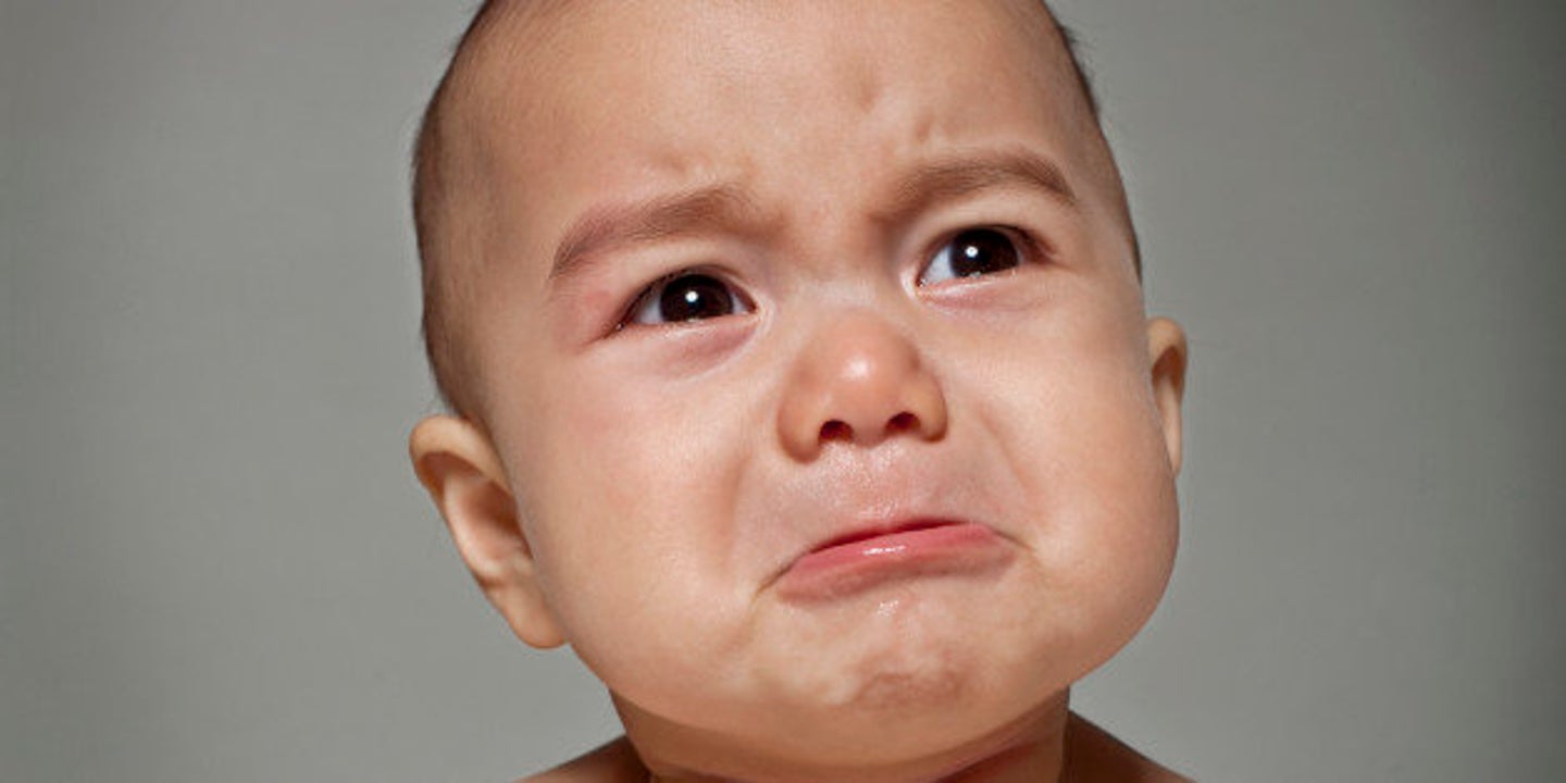 Moronic Morsels Du Jour: Where Does the Line Form? | HuffPost Life