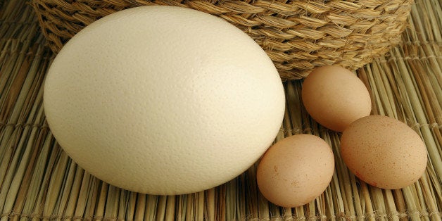 Deviled Ostrich Eggs | HuffPost Life
