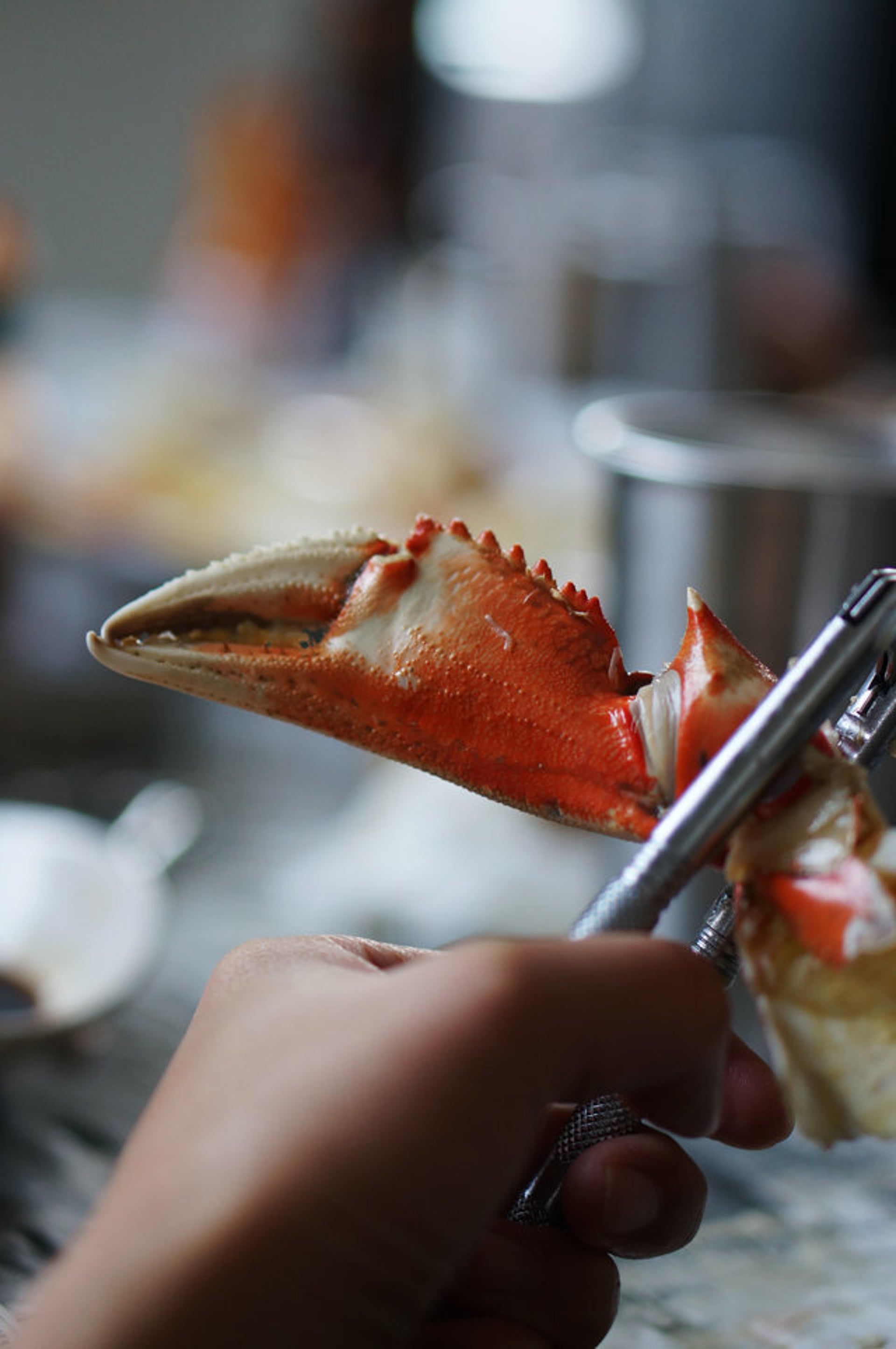 How To Pick A Crab Like A Pro | HuffPost Life