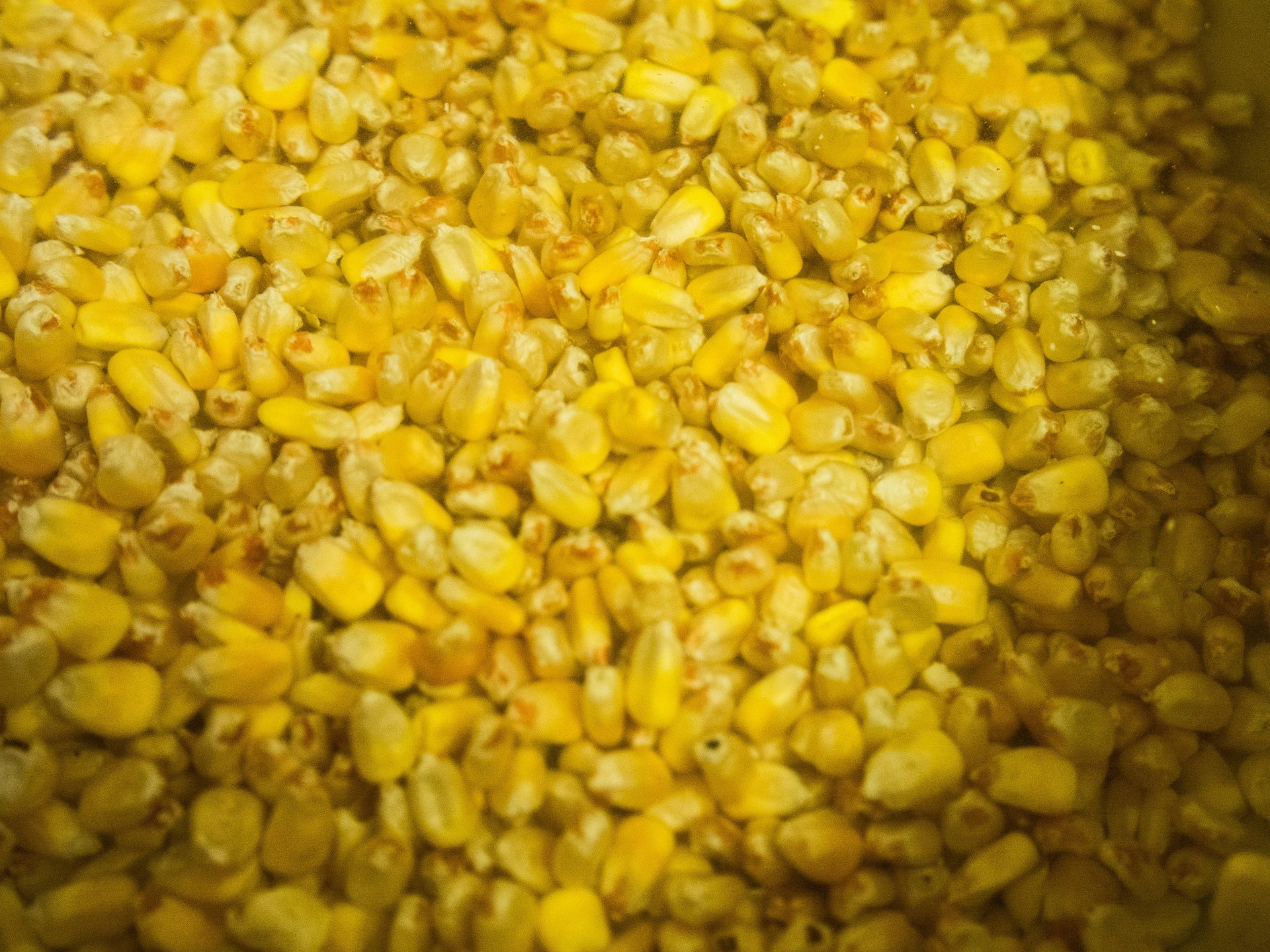 What The Hell Is Hominy, Anyway? | HuffPost Life