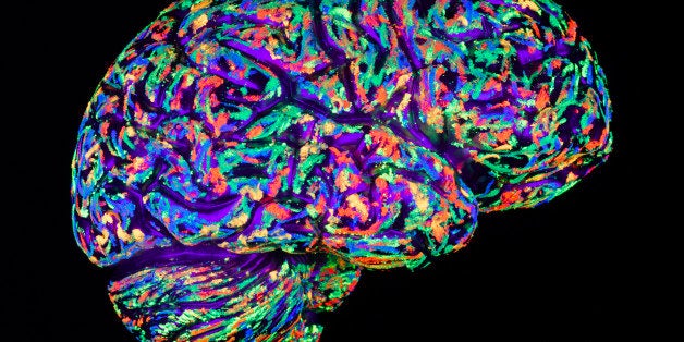 Humans Already Use Way, Way More Than 10 Percent Of Their Brains ...